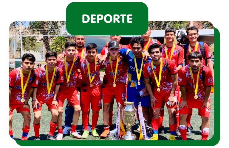 NOSOTROS | Dulfi Dulcería